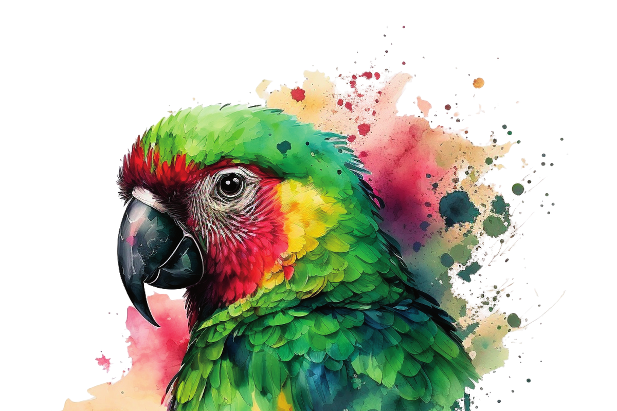 Parrot Watercolor Illustration Set