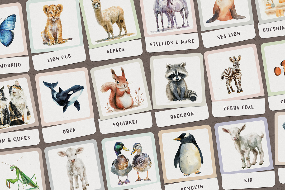 Animals Montessori Cards Bundle