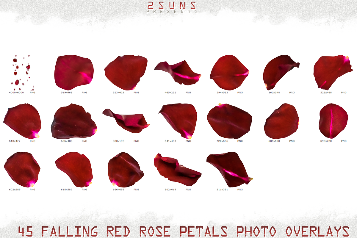 RED Rose Petals photo overlays