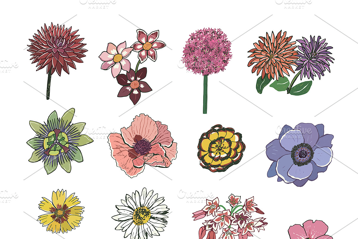 150 Color Flowers, a Decorative Illustration by GooseFrol