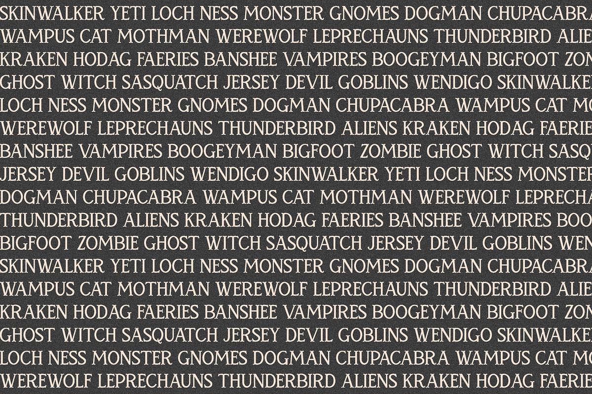 Spirit Box Serif Type Family, a Serif Font by Beck McCormick