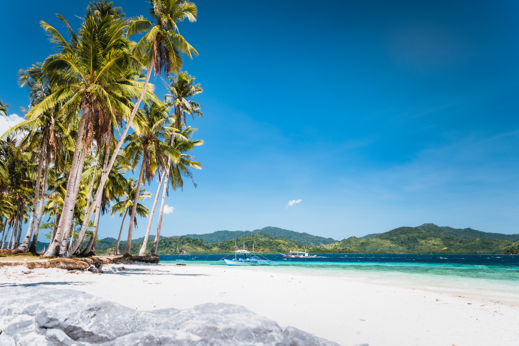 Ipil beach with coconut palm trees featuring island, palawan, and blue ...