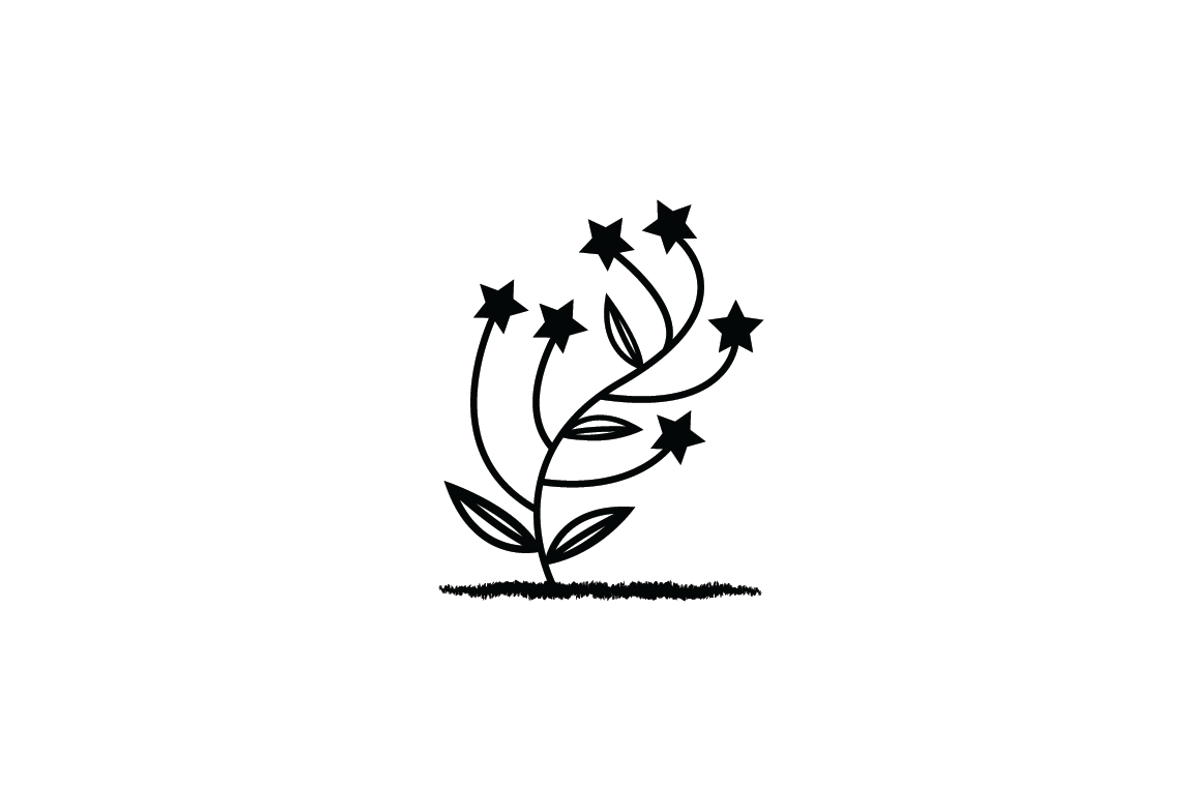 Star Flower Logo Template, a Branding & Logo Template by Heavtryq Design