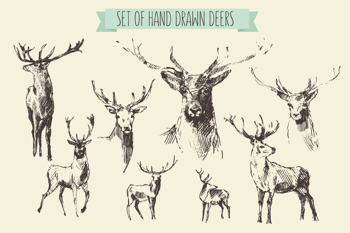 Big set of hand drawn deer, an Illustration by TheMountBirdStudio