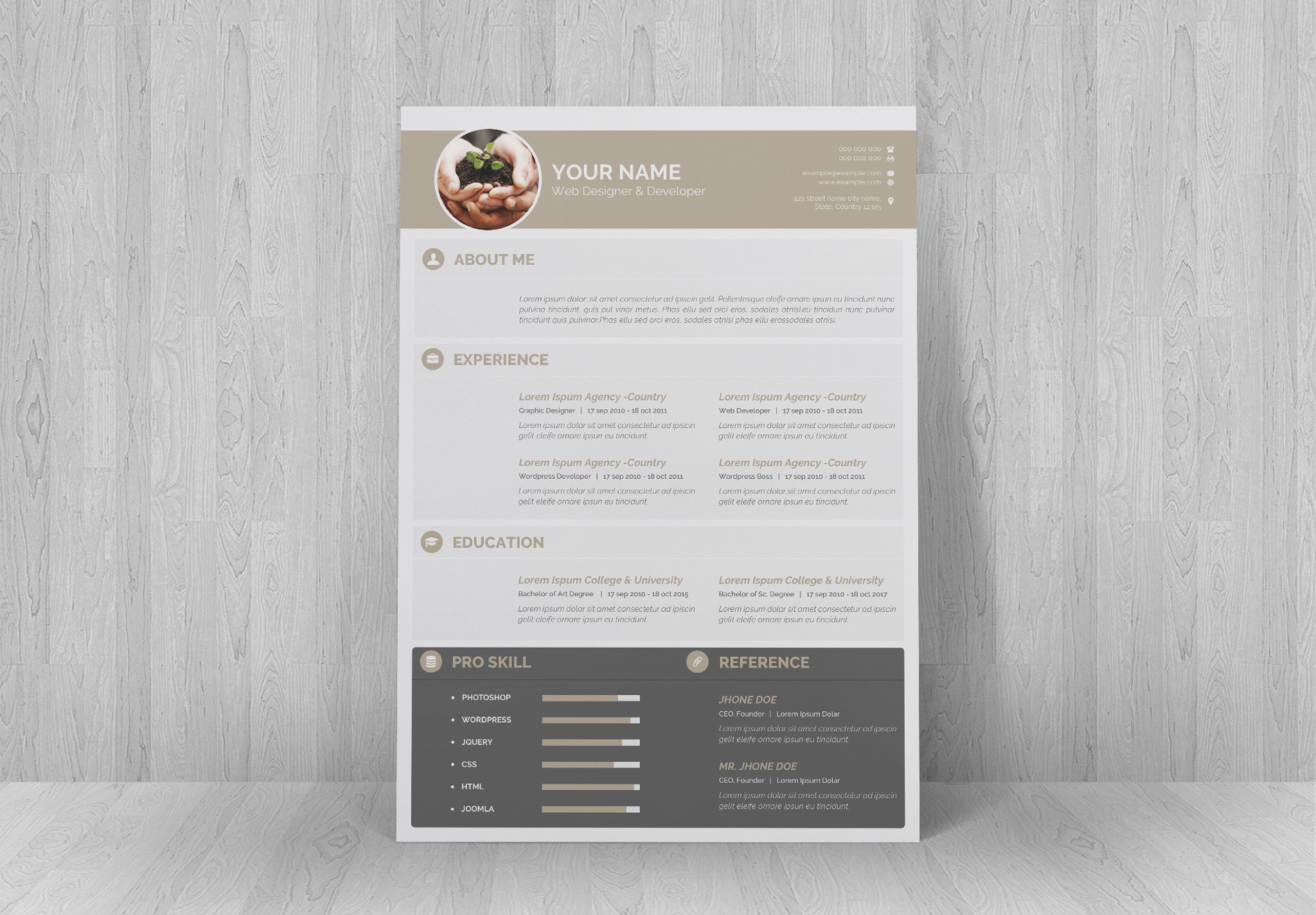 Clean Resume, a Resume Template by Cristal Pioneer