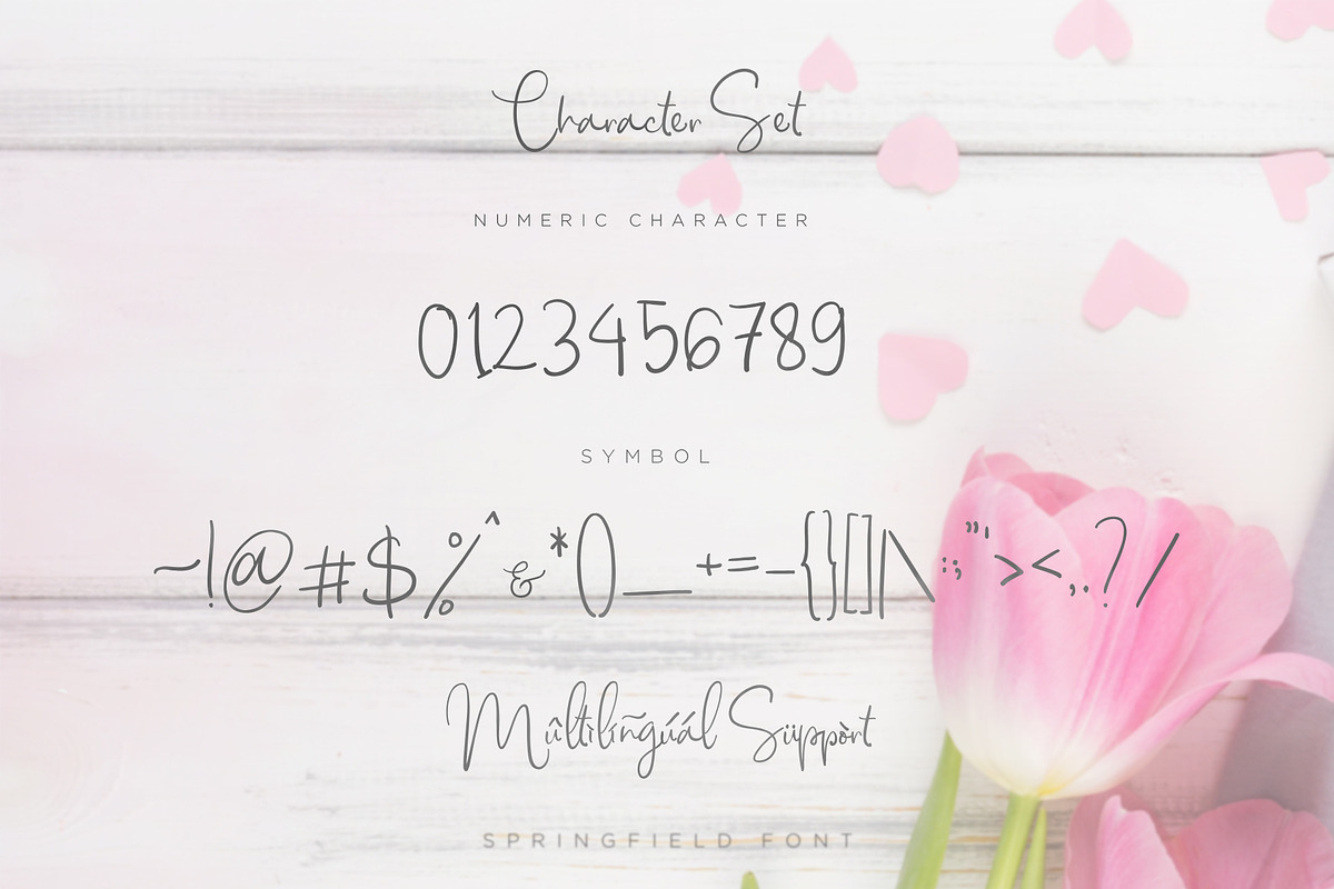 Springfield Font Duo, a Script Font by Chocotype Std