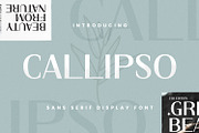 Callipso - Sans Serif Font, a Sans Serif Font by Imoodev | Creative Market