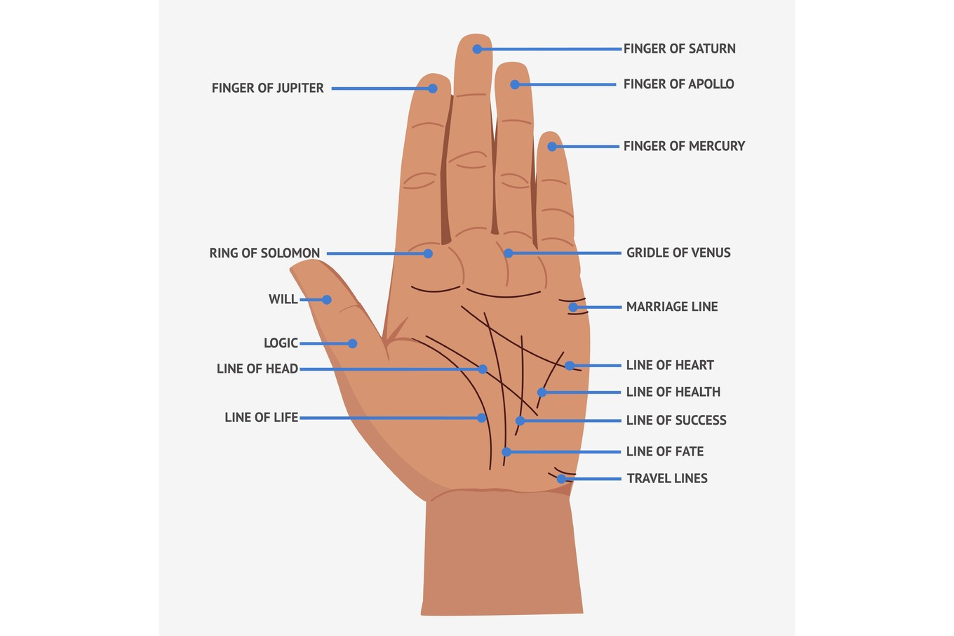 Palmistry. Open hand lines and symbols mystical reading vector ...