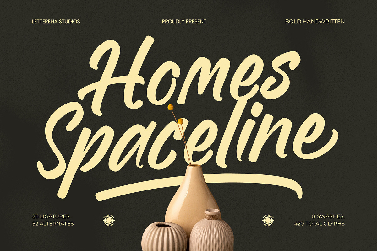 Homes Spaceline Bold Handwritten, a Script Font by Letterena Studios Script