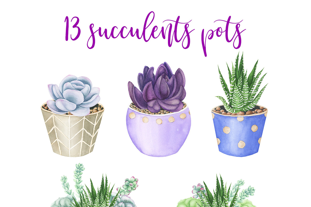 Watercolor Succulents Pots Clipart, a Decorative Illustration by Plants ...