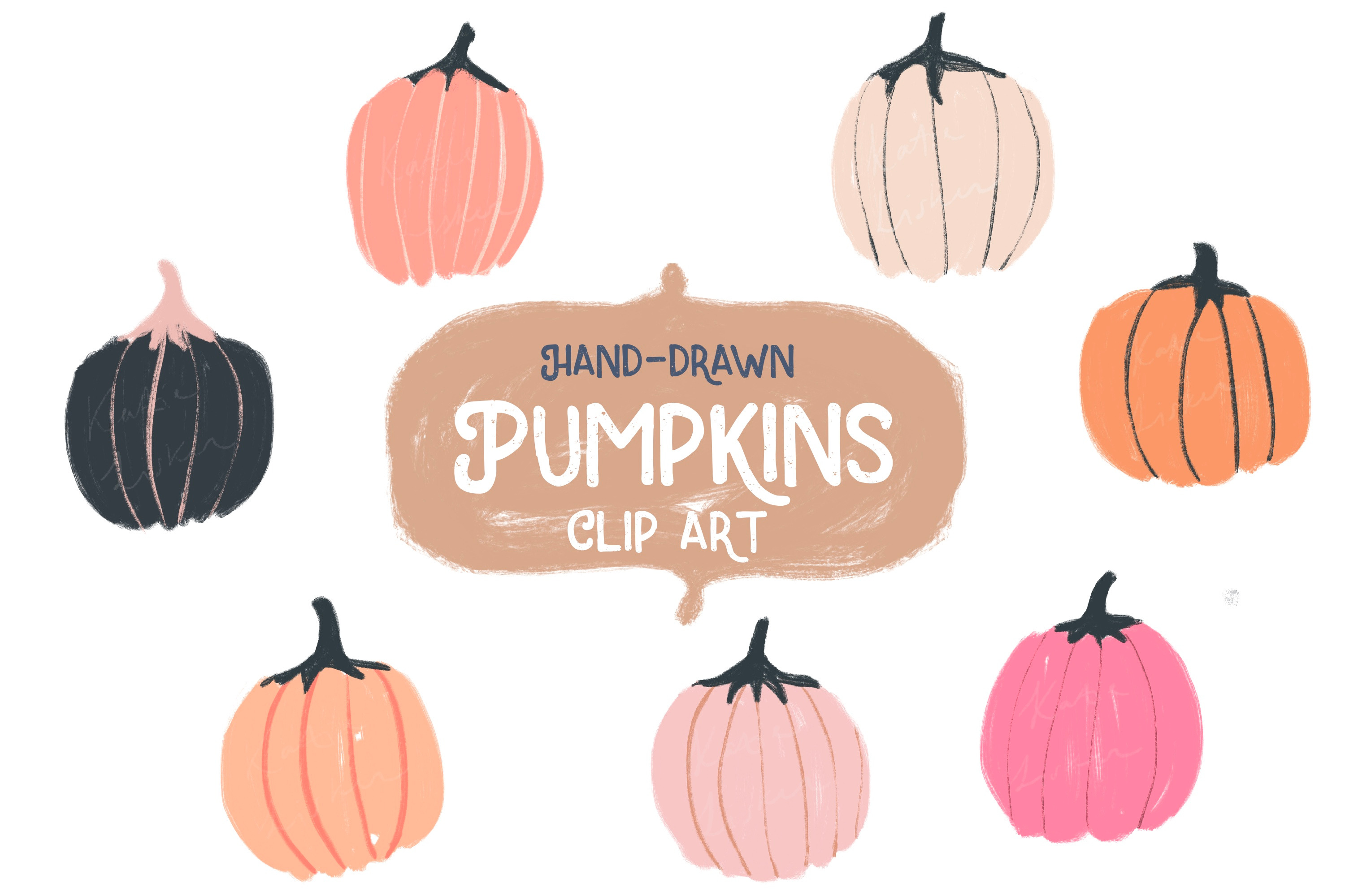 Hand-drawn pumpkin clipart + pattern, a Texture Illustration by Katie ...