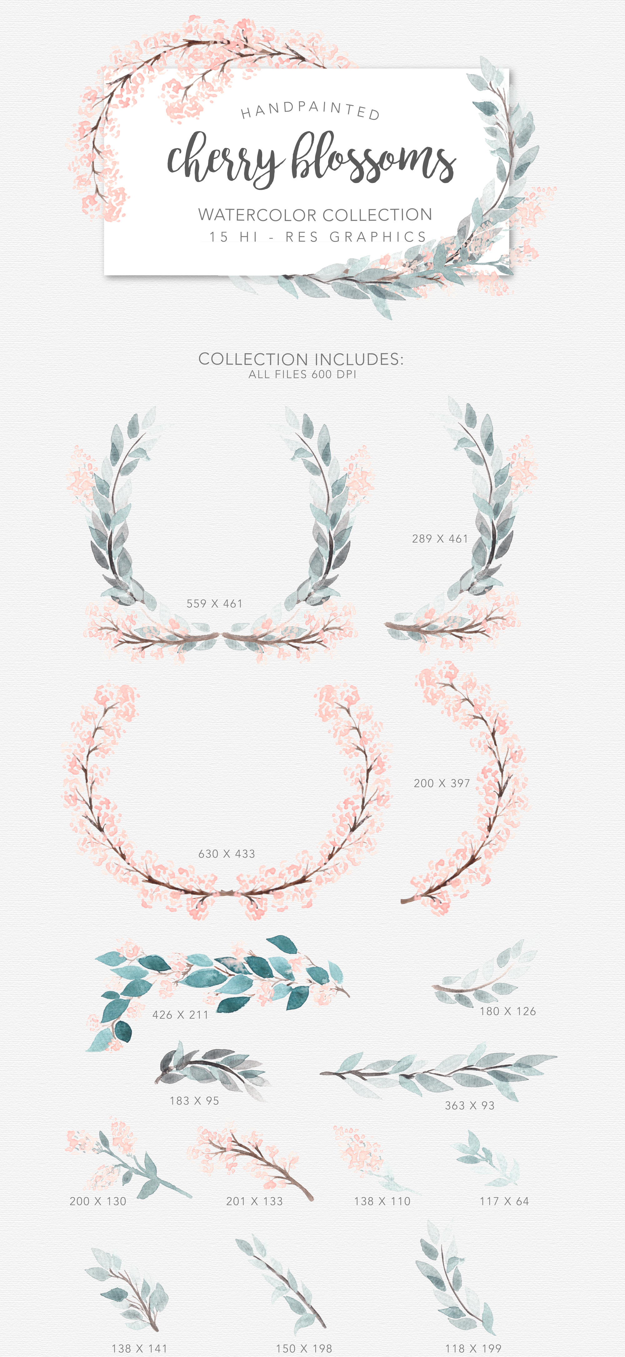 Watercolor Cherry Blossom Wreaths, an Illustration by Wooly Pronto