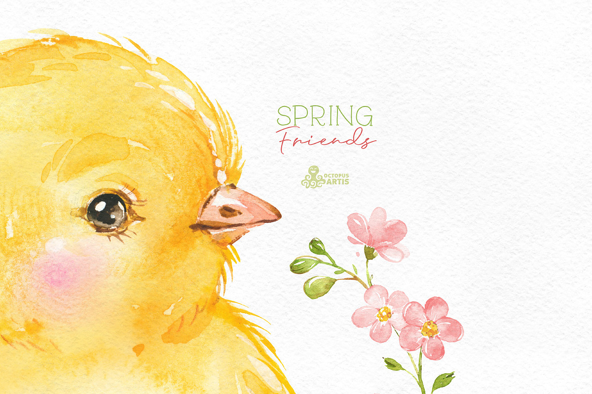 Spring Friends. Watercolor Set, an Animal Illustration by OctopusArtis ...
