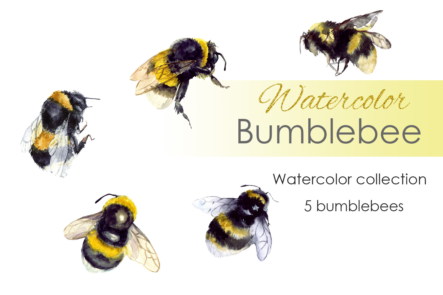 Watercolor Clipart. Bumble Bee art, a Decorative Illustration by ...