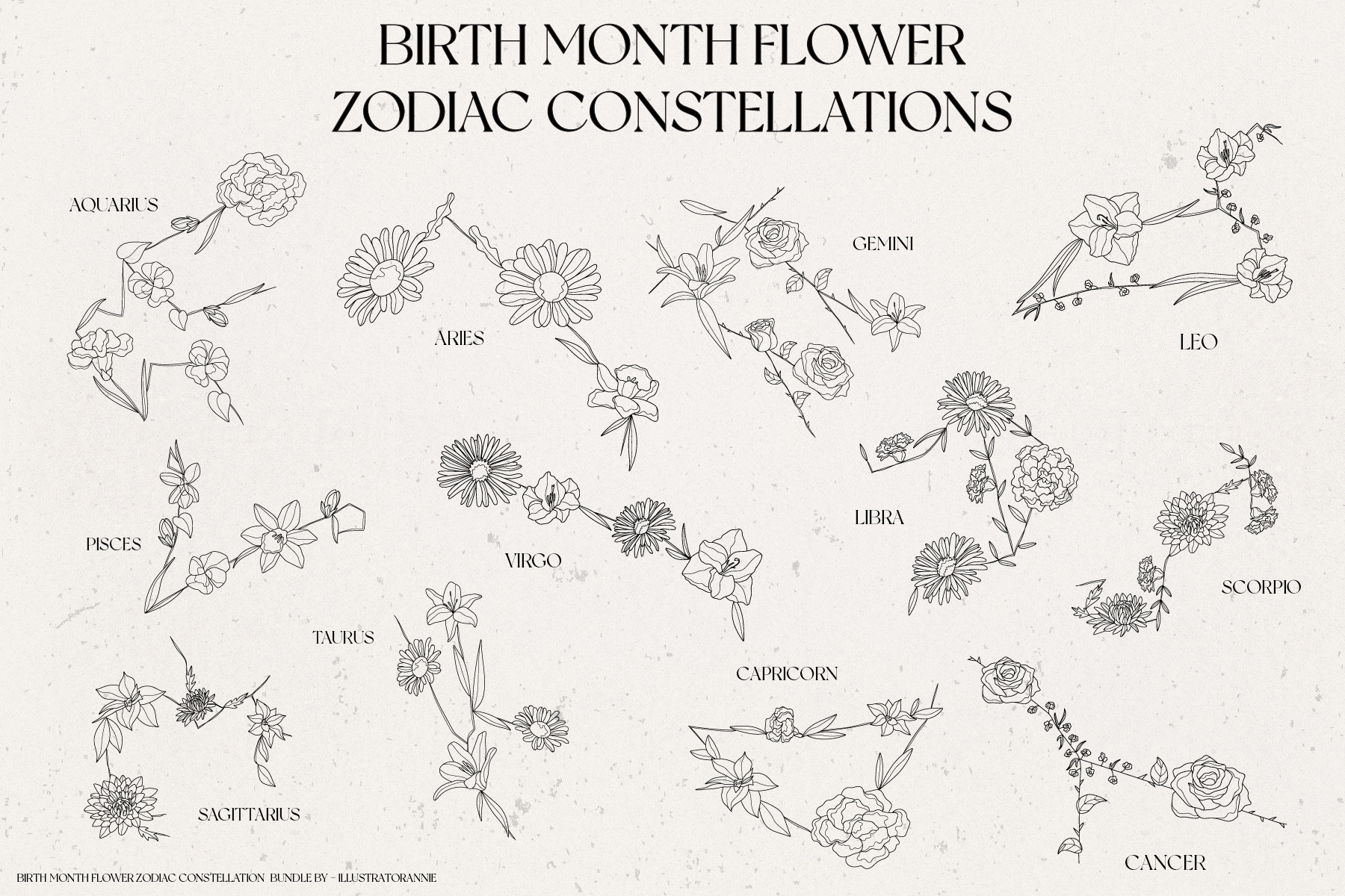 Birth Month Zodiac Constellations, an Illustration by IllustratorAnnie