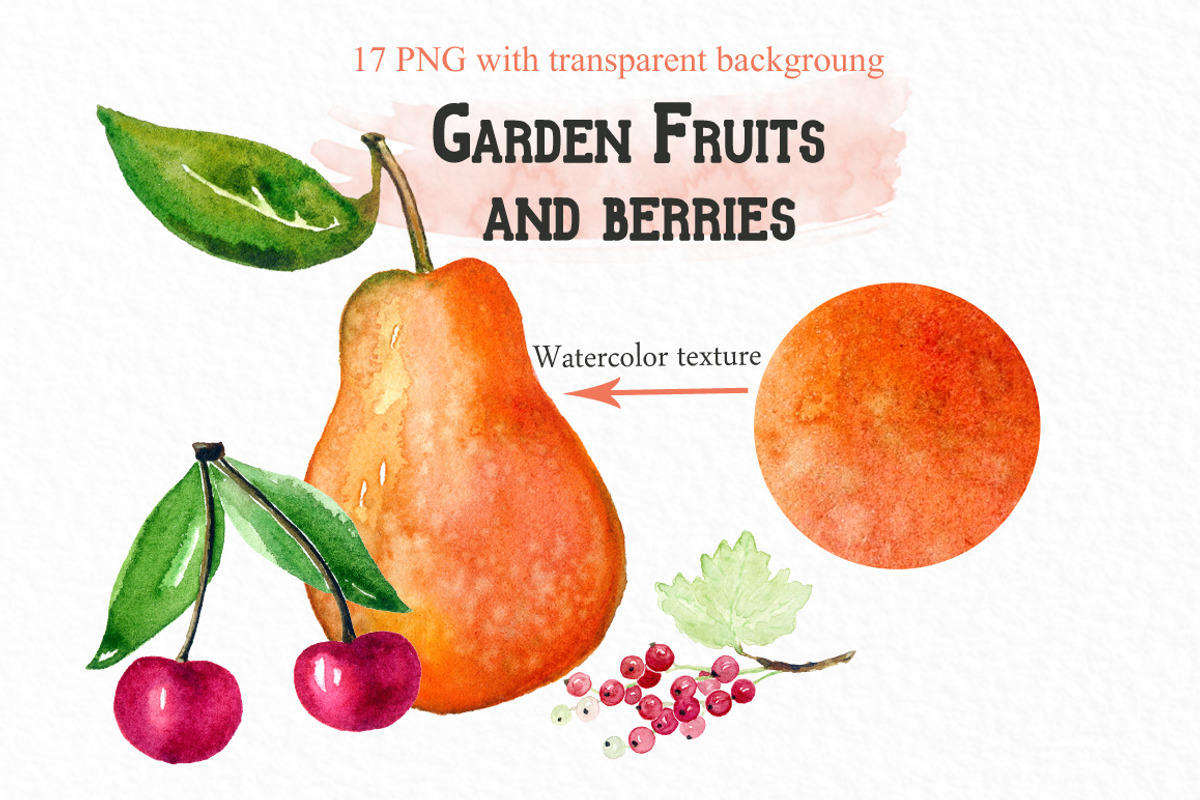 Garden fruits & berries watercolor, a Food Illustration by LABFcreations