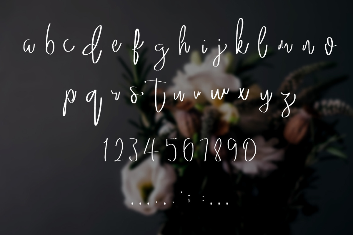 Hand Drawn Script Font Cashly, a Script Font by Aloha Philly