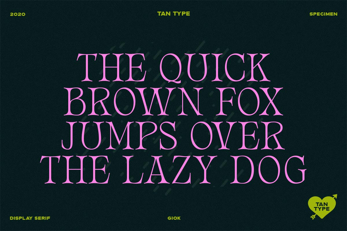 TAN - GIOK, a Serif Font by TanType