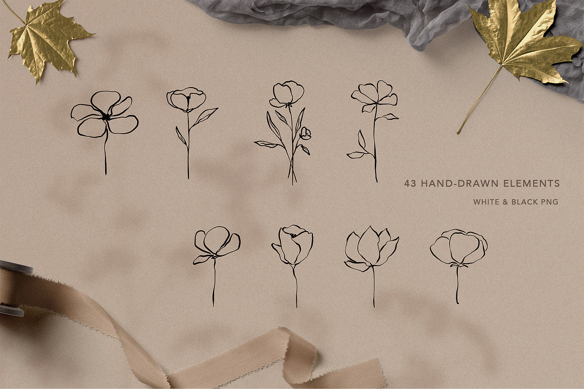 Botanical Line Art Logo, an Illustration by Backyard Rose