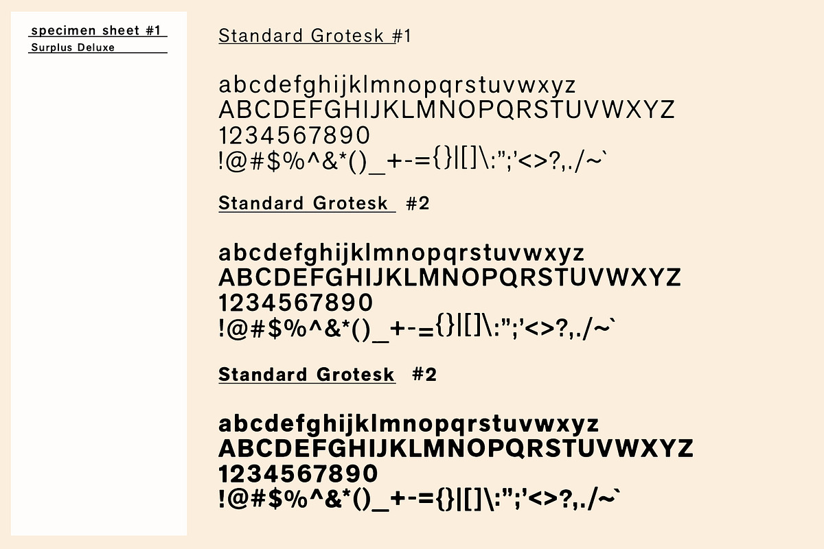 Standard Grotesk Font + Extras