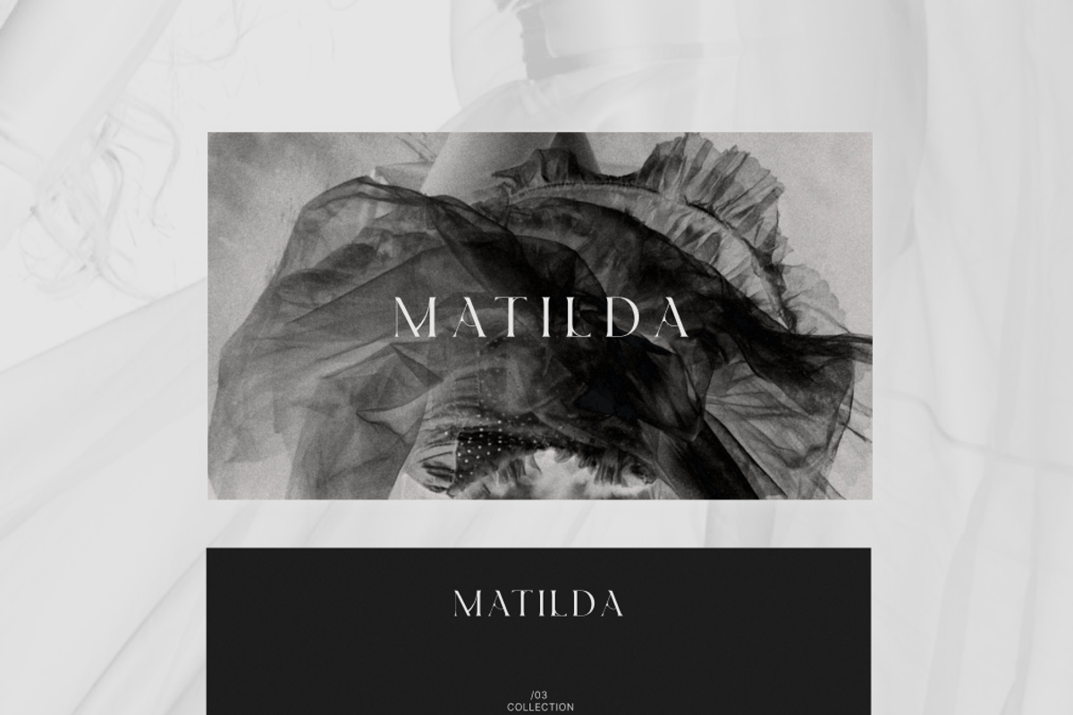 Elegant modern luxury font Twixt