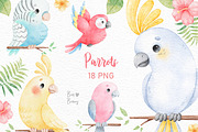 Cute Watercolor Parrots Clipart, an Animal Illustration by BonbonnyDesigns