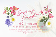 Brightly coloured Spring Flower, a Decorative Illustration by ...