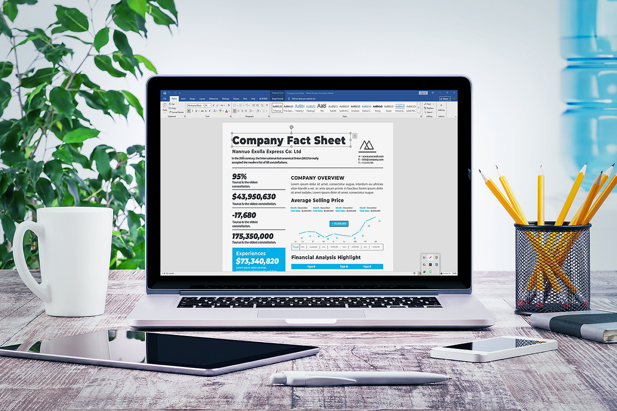 Company Fact Sheet | Word & Indesign, a Flyer Template by obayes