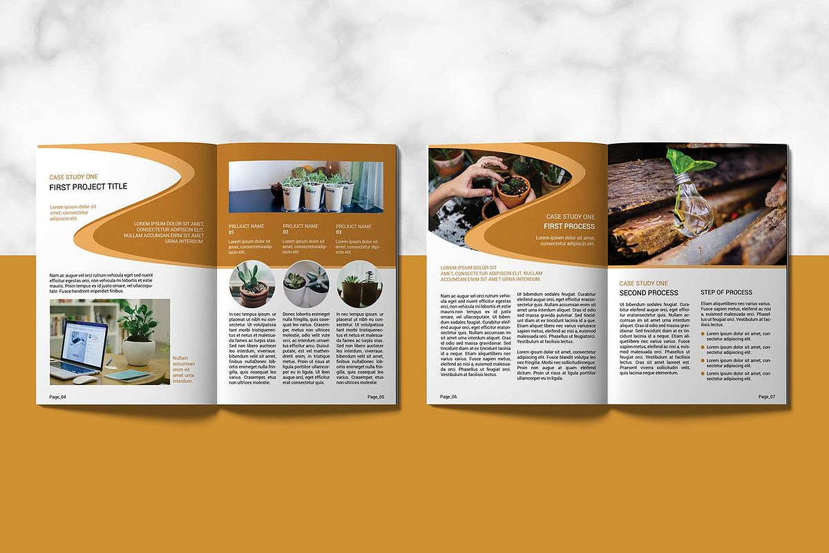Case Study Brochure Template