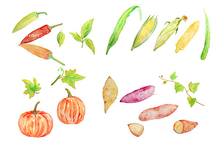 Watercolor Clipart Menu Items, a Food Illustration by Corner Croft