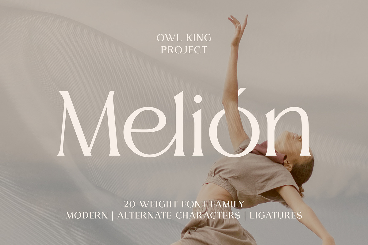 Melion, a Serif Font by OWL KING
