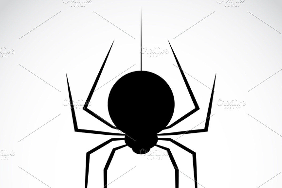Vector image of an spider, an Outline Icon by yod67