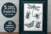 5 hand-drawn Insects & patterns, a Decorative Illustration by ZiziMarket
