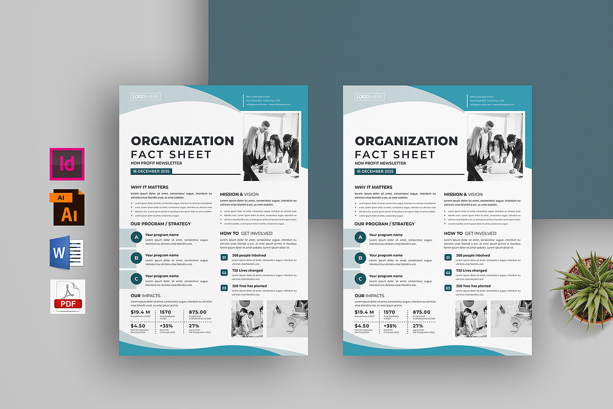 Nonprofit Organization Fact Sheet, a Flyer Template by obayes