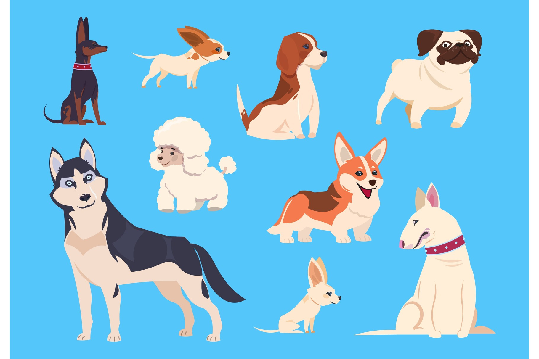 Cartoon dogs breeds. Corgi and husky, a Background Graphic by Valerie ...