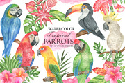 Watercolor Tropical Parrots, an Animal Illustration by OlDm_Shop ...