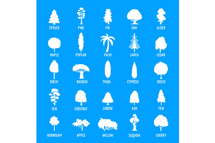 Vector fir trees set, an Object Illustration by RocketArt