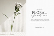 Pinellas Handwritten Script Font