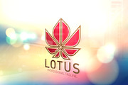 Lotus Logo, a Branding & Logo Template by essegraphic