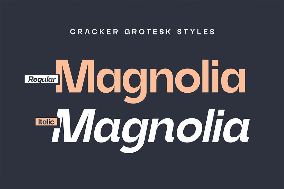 Cracker Grotesk Sans Serif Typeface | Creative Market