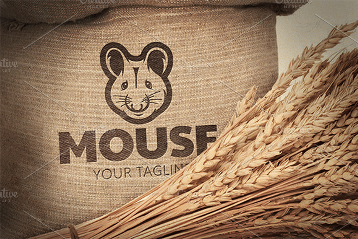 Mouse, a Branding & Logo Template by Steinar Logo