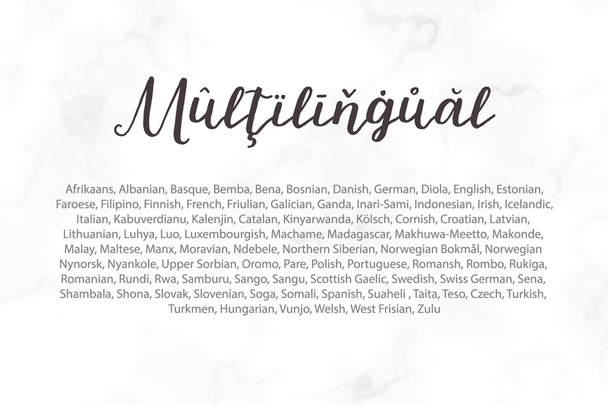 Michelle script with extras, a Script Font by Designwork