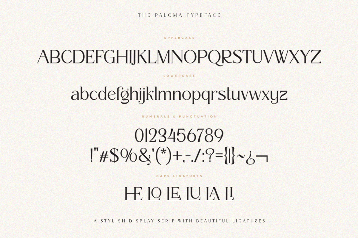 The Paloma - Modern Serif Font, a Serif Font by TypeFounder