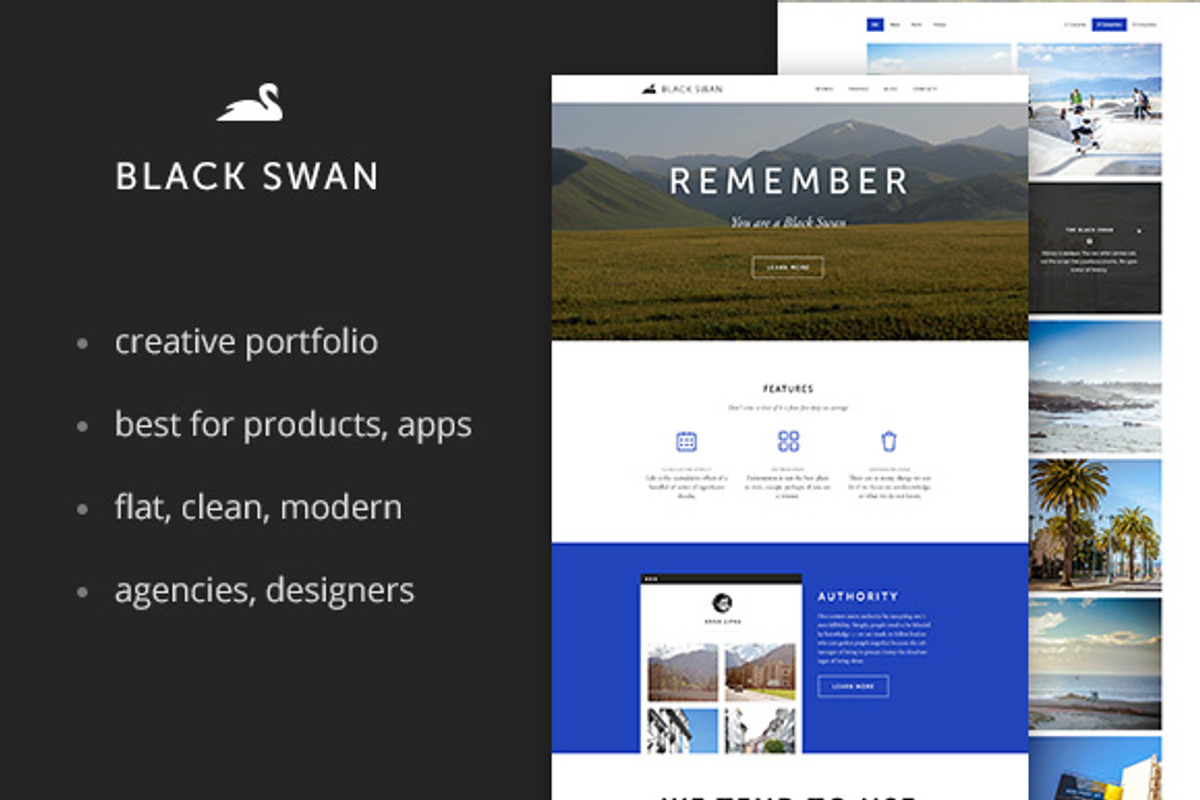 Black Swan Portfolio Template(PSD), an App Template by UI Store