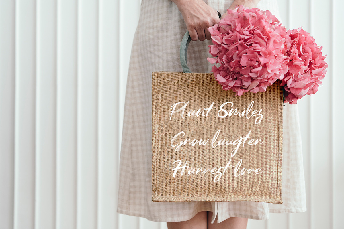 Stardust Font Collection, a Script Font by ReveryWorks