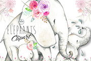 Elephants Clip Art Water colour | Animal Illustrations ~ Creative Market