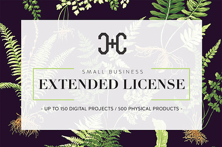 Extended Use Licence | Brushes & More ~ Creative Market