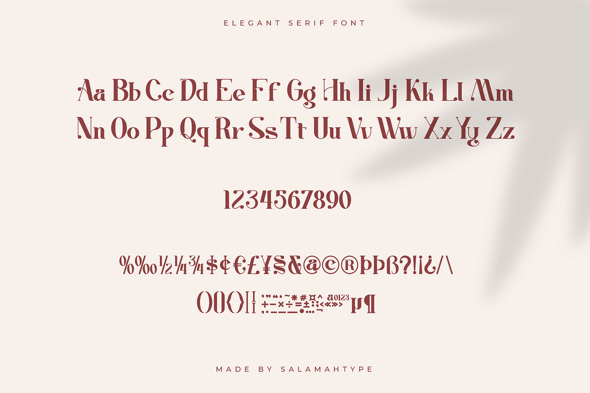 Meriyan Modern Serif Font, a Serif Font by Salamahtype