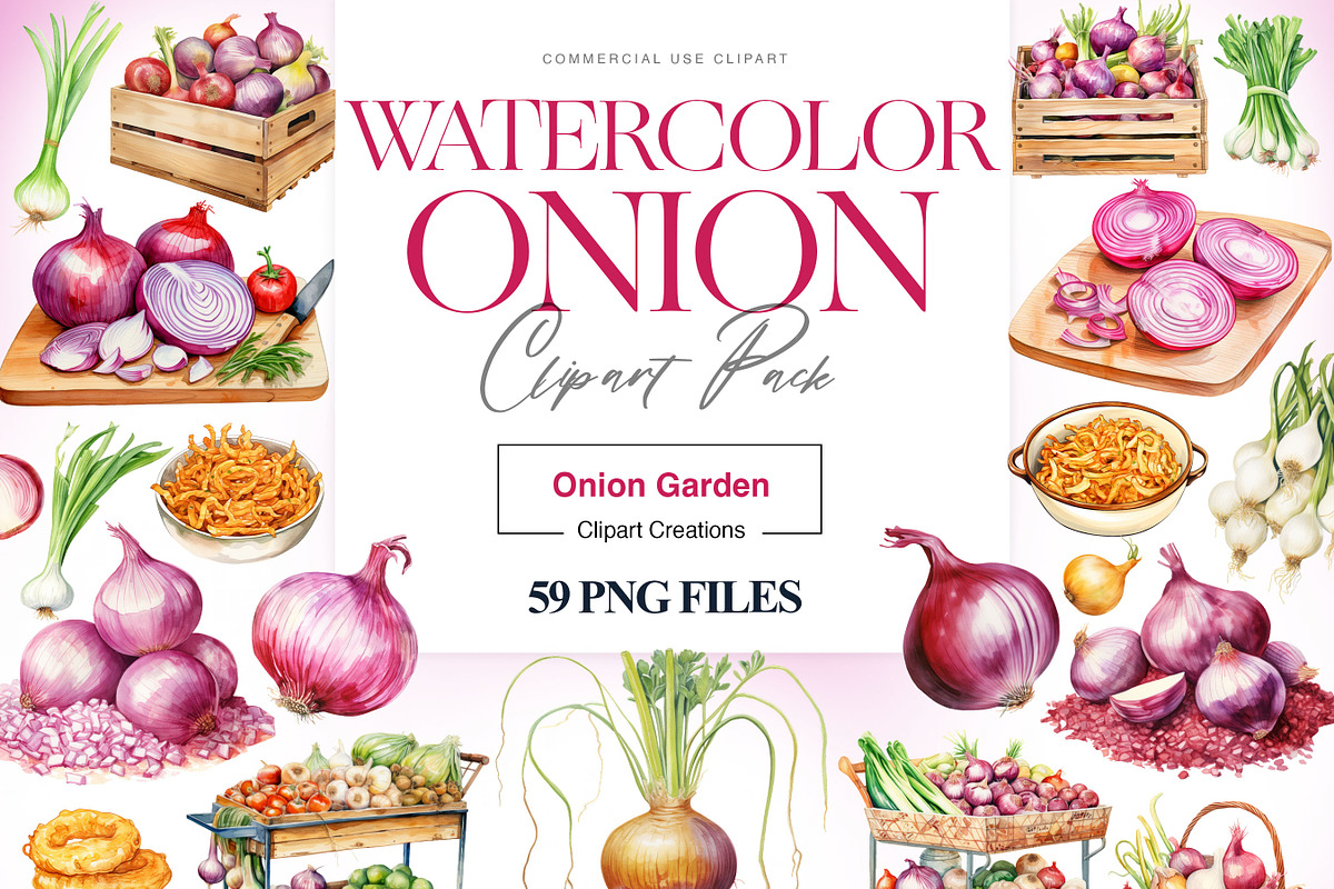 Watercolor Onion Clipart, Spring Onion