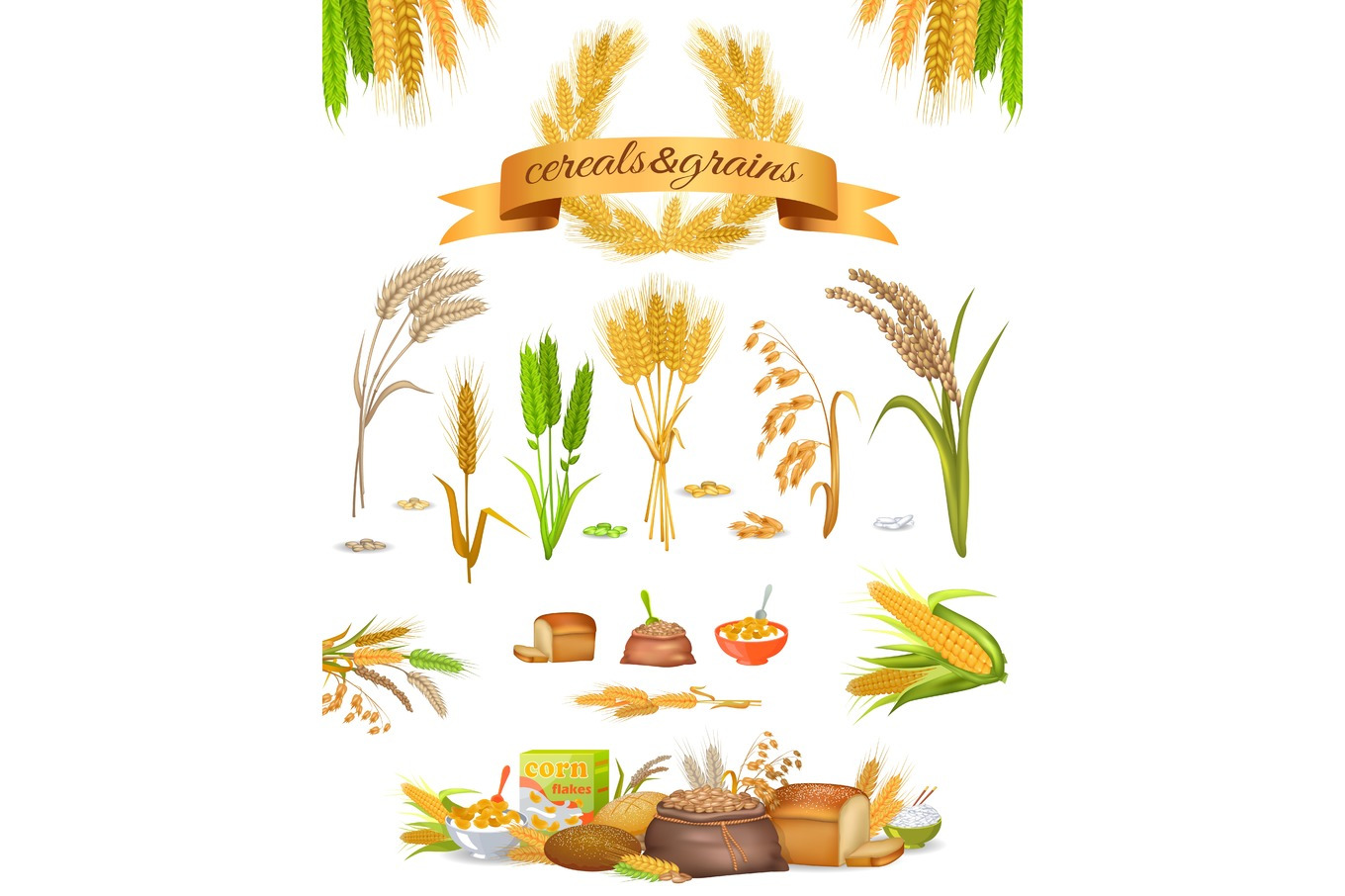 Set of Cereals and Grains on White Background, a Food Illustration by ...